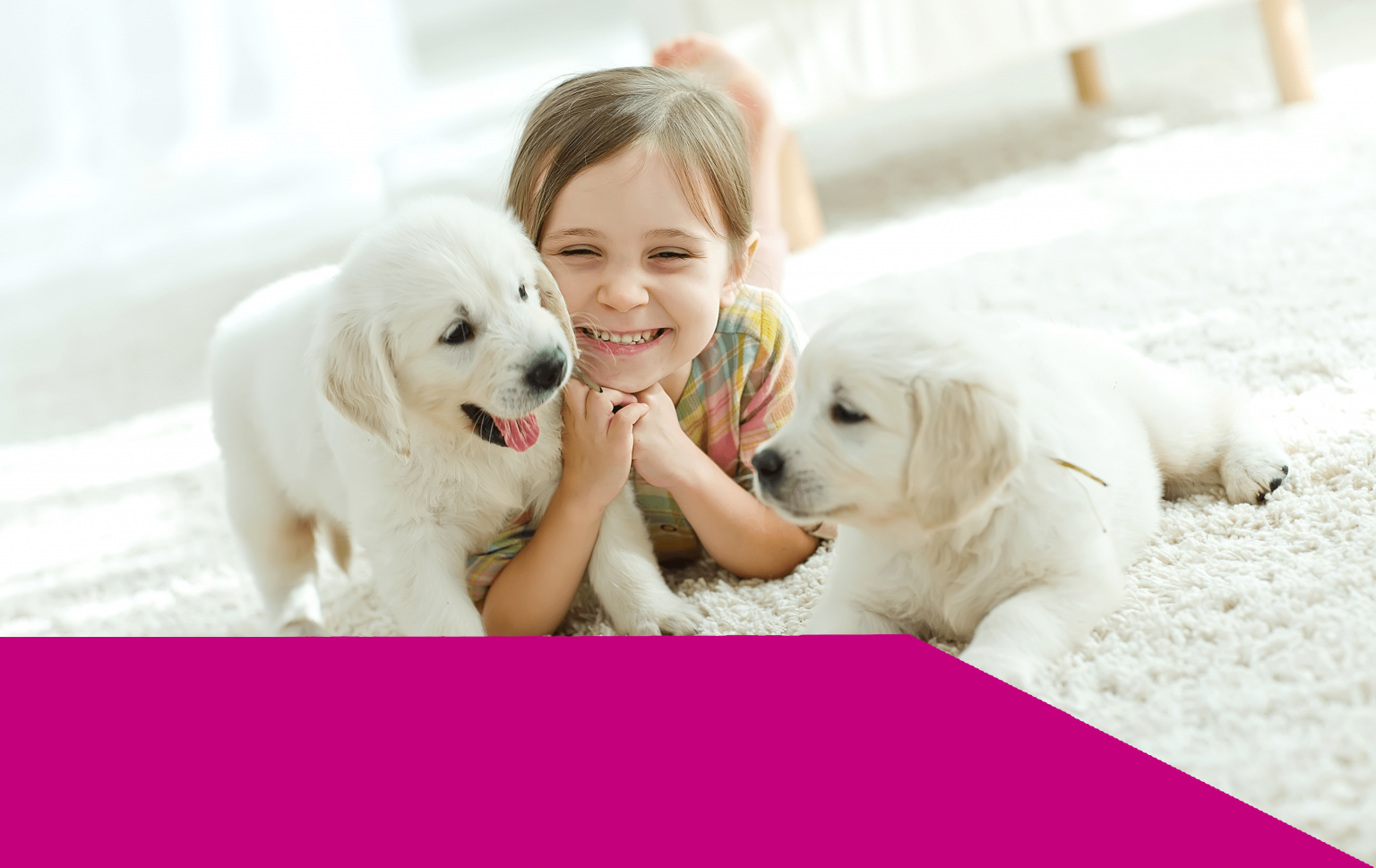 Knose: Pet Insurance for Dogs & Cats - Get a Quote in 2min!