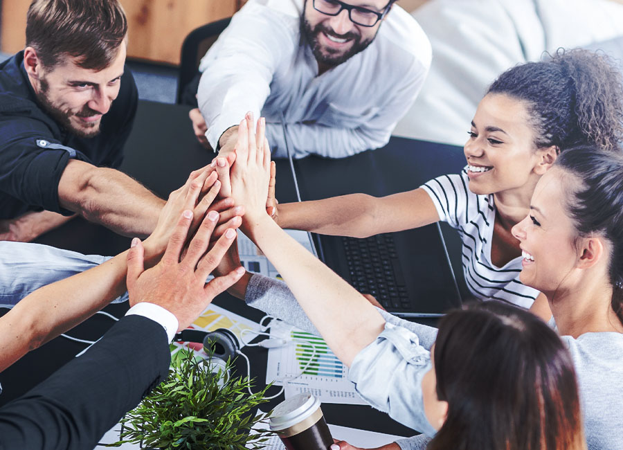 Careers | Knose