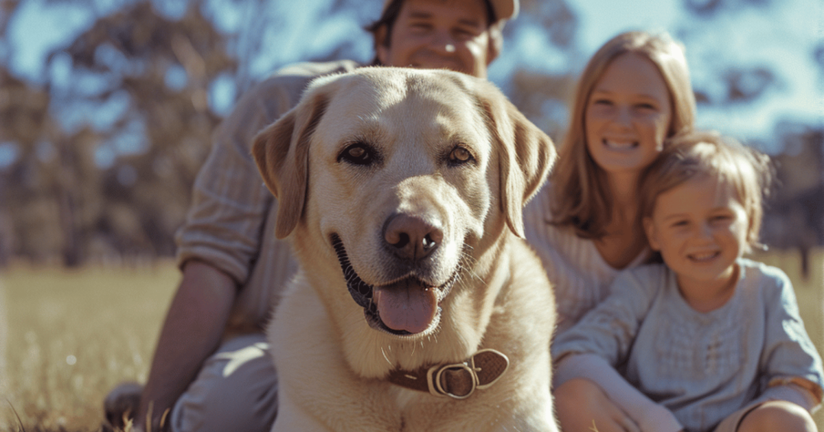 Knose Pet Insurance for Dogs & Cats - Get a Quote in 2 minutes!