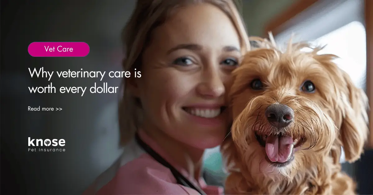 Why Veterinary Care is Worth Every Dollar | Knose